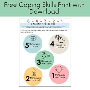 Traffic Signal Behavior Check-in: Kids Coping Skills (digital Download ...