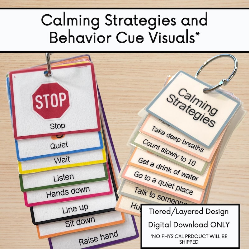 Behaviour Reminder Visual - Etsy