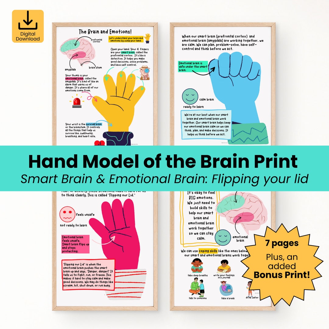 Printable Hand Model of the Brain, Upstairs and Downstairs Brain ...