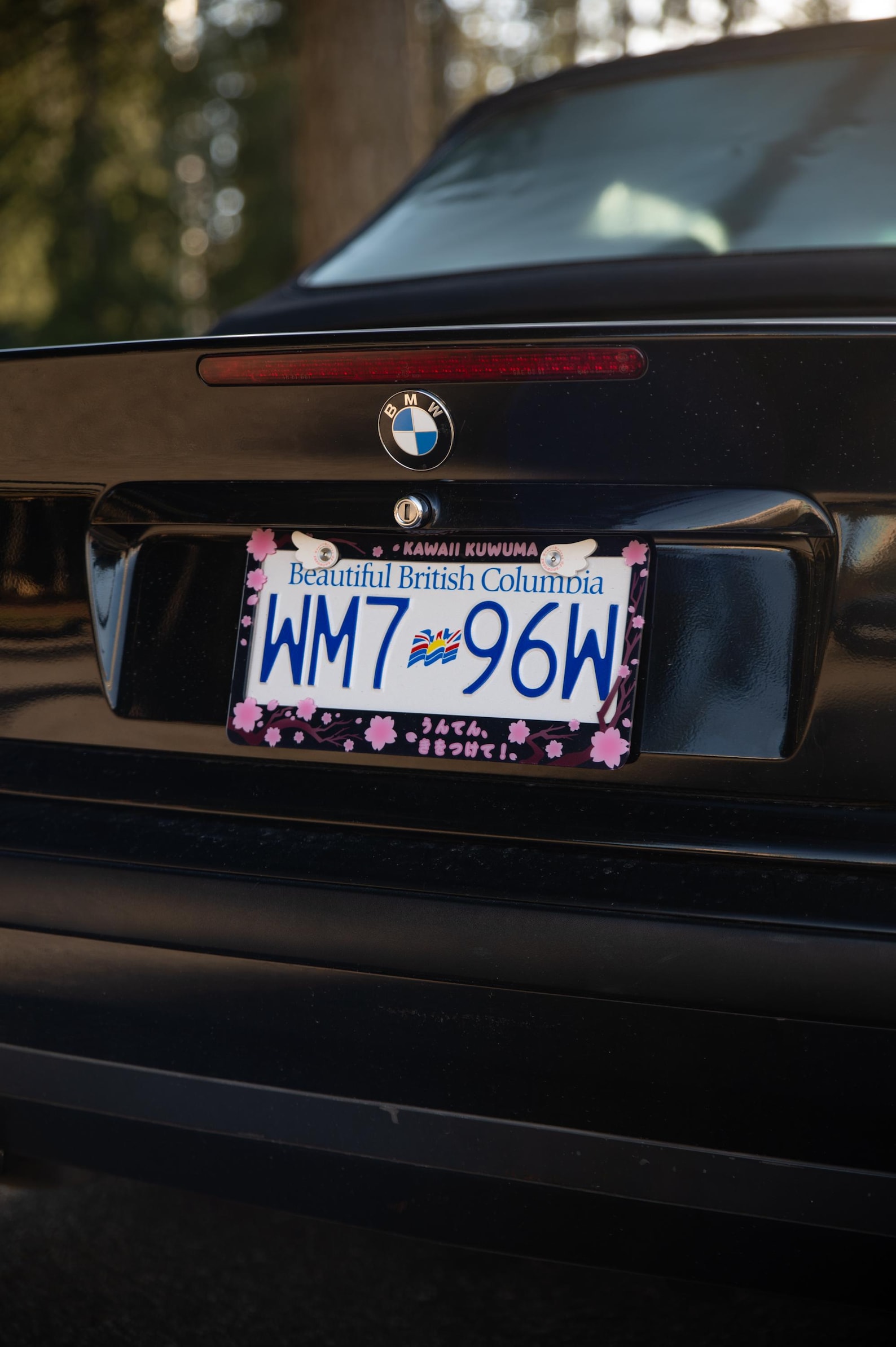 Cherry Blossom Sakura License Plate Frame - Etsy