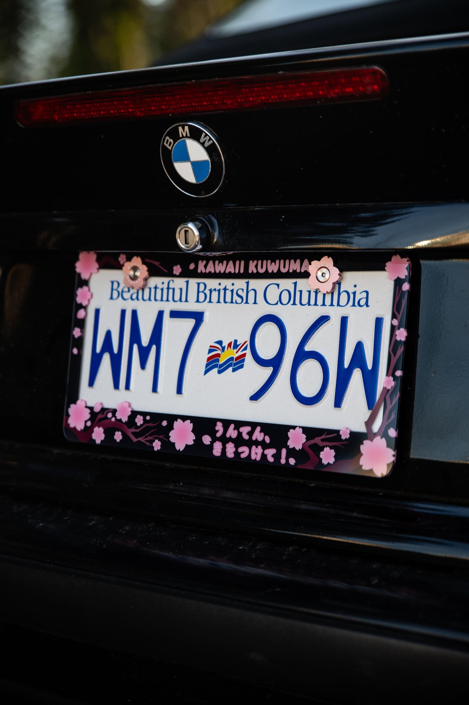 Cherry Blossom Sakura License Plate Frame - Etsy