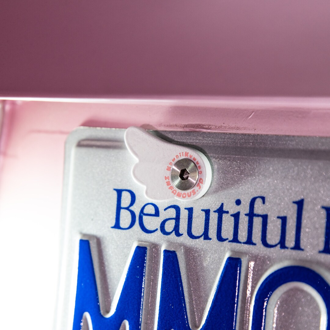 Angel Wing Dress-up Hardware for Car License Plates or Engine Bay ( 2 ...