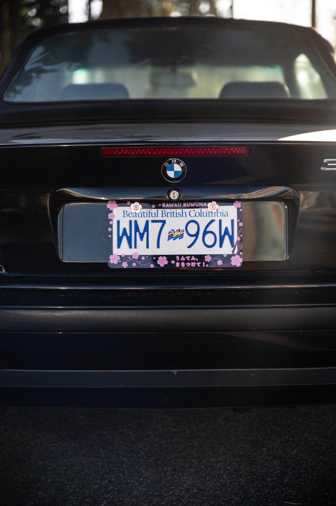 Cherry Blossom Sakura License Plate Frame - Etsy
