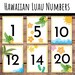 Hawaiian Classroom Decor Days of the Week Hawaii Numbers Schedule Cards ...