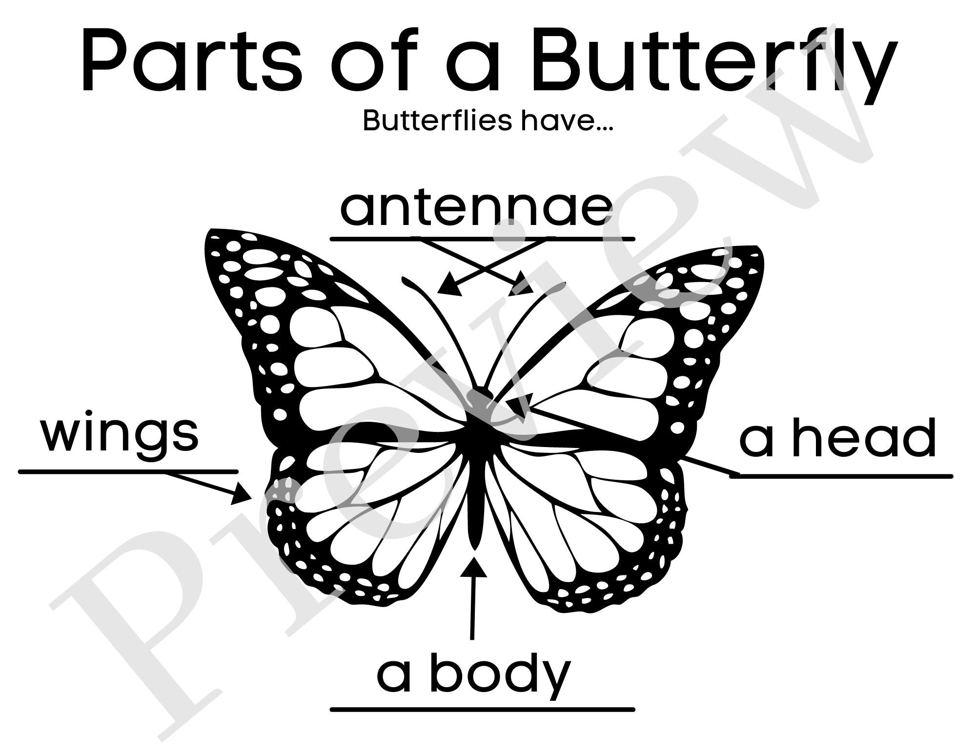 Printable Butterfly Writing Process With Informative Writing Prompt ...