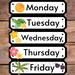 Hawaiian Classroom Decor With Days of the Week Hawaii Luau Class Theme ...