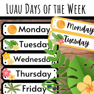 Hawaiian Classroom Decor Days of the Week Hawaii Numbers Schedule Cards ...