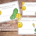 Pickleball Award Bundle With Fancy Certificate or Funny Pickle Players ...