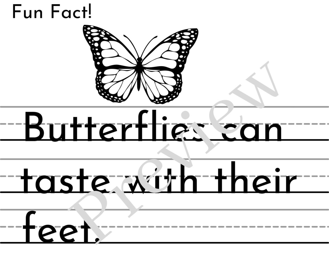 Printable Butterfly Writing Process With Informative Writing Prompt ...