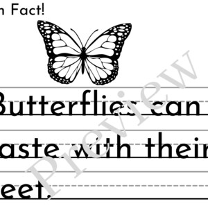 Printable Butterfly Writing Process With Informative Writing Prompt ...