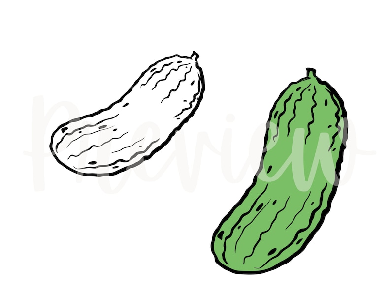 Pickleball Clip Art Bundle for Commercial Use PNG Files With Funny ...