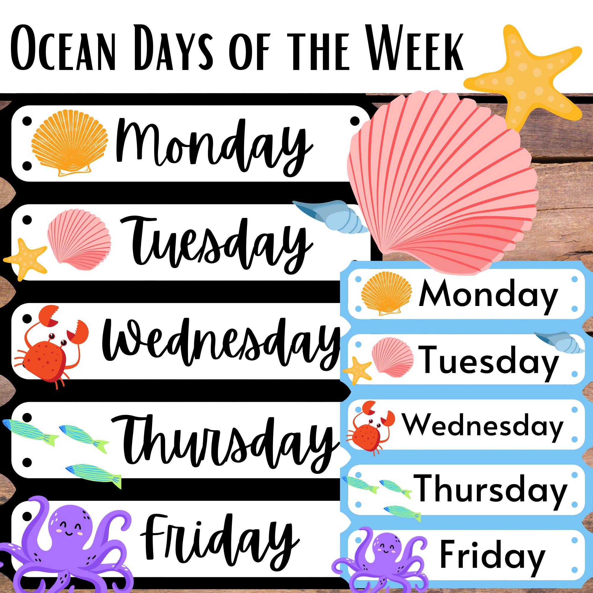 Under the Sea Ocean Classroom Decor With Days of the Week Ocean Number ...