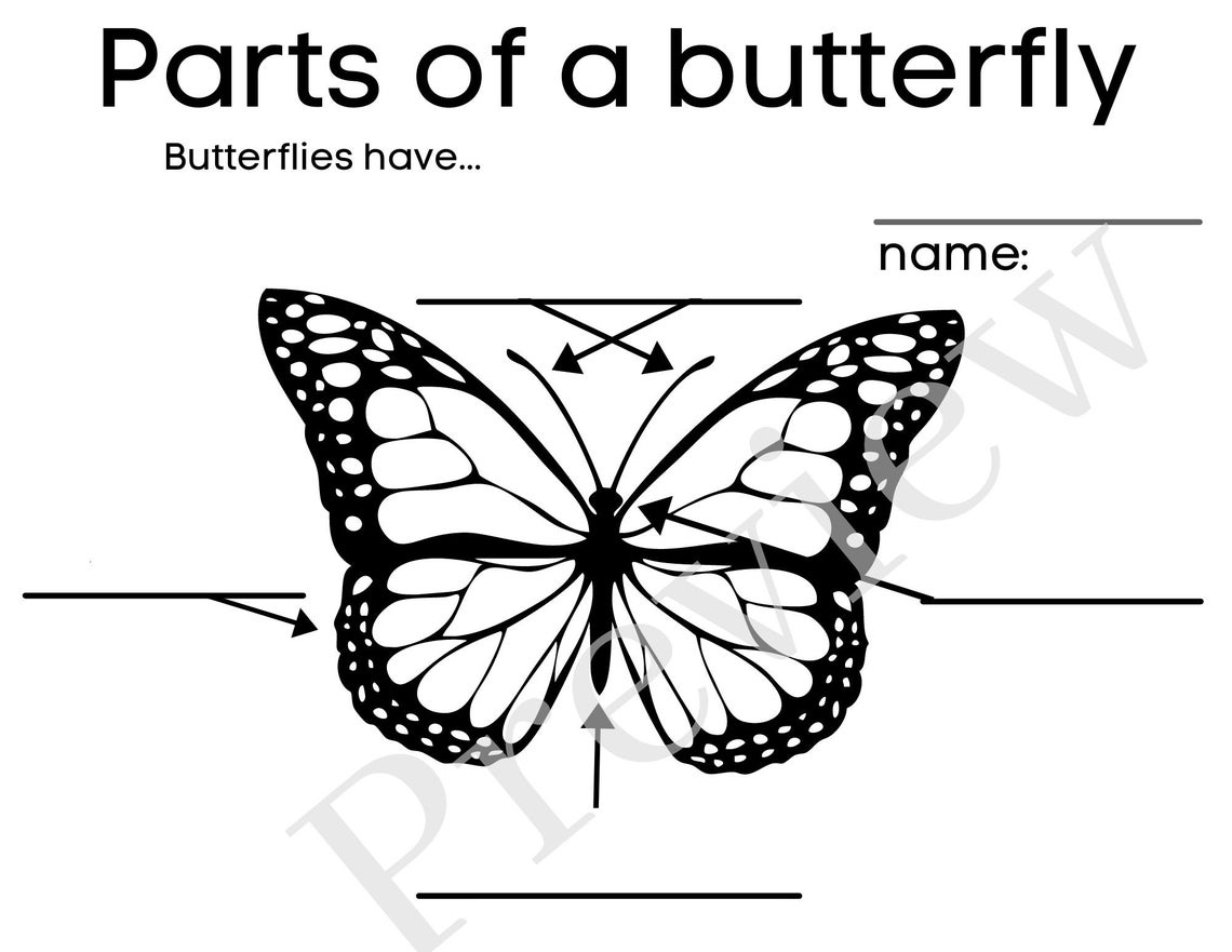 Printable Butterfly Writing Process With Informative Writing Prompt ...