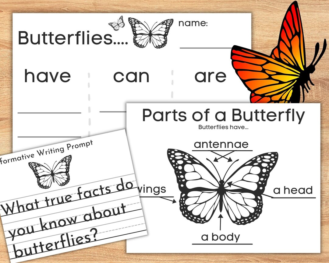 Printable Butterfly Writing Process With Informative Writing Prompt ...