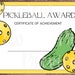Pickleball Award Bundle With Fancy Certificate or Funny Pickle Players ...