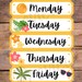 Hawaiian Classroom Decor With Days of the Week Hawaii Luau Class Theme ...