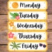 Hawaiian Classroom Decor With Days of the Week Hawaii Luau Class Theme ...