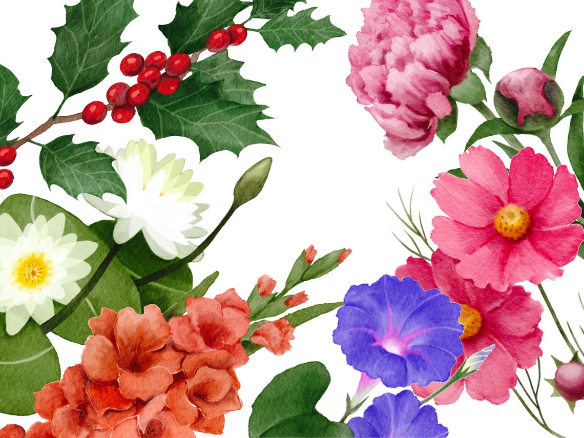 Birth Month Flower Chart | Birth Flower Poster | Floral Nursery Decor ...