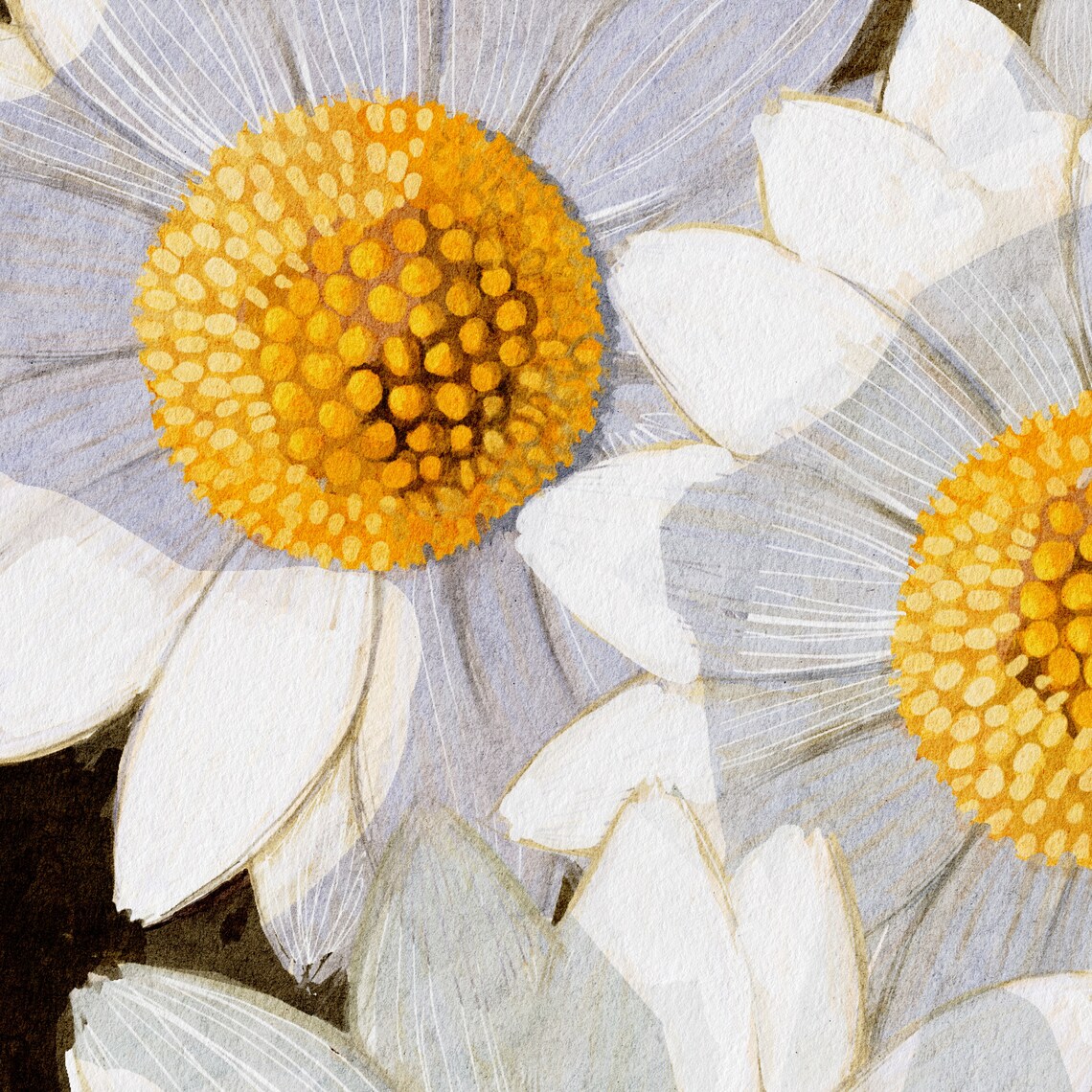 Daisy Birth Flower Wall Art Entryway Flower Prints Wall Decor Living ...