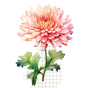 Birth Flower Clipart Sublimation PNG | Watercolor Floral Clipart Bundle ...