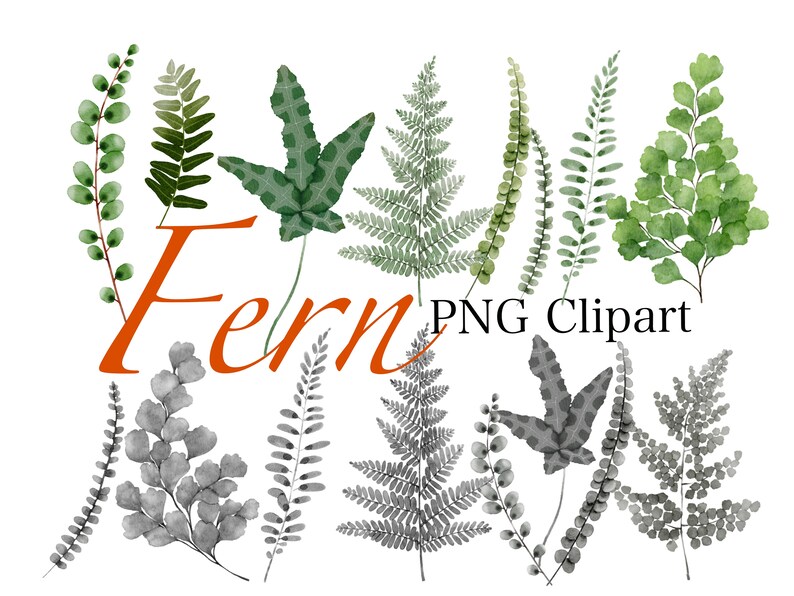 Fern Clipart PNG | Fern Black and White Art Print PNG | Fern Leaf ...