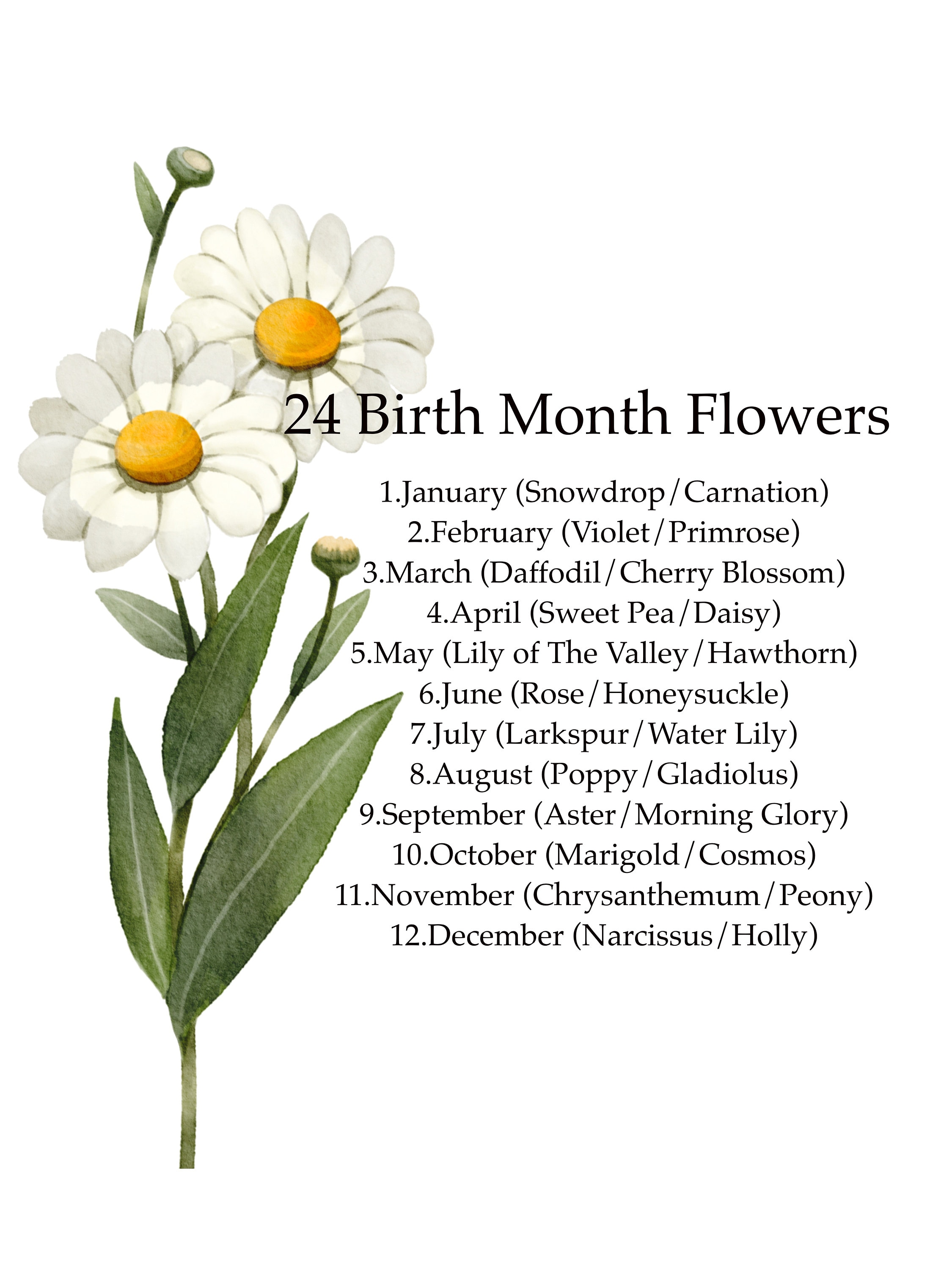 Birth Month Flower Chart Birth Flower Poster Floral Nursery Decor ...