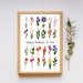 Birth Month Flower Chart Birth Flower Poster Floral Nursery Decor ...