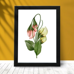 April Birth Month Flower PNG / Sweet Pea Clipart / Sweet Pea Print ...