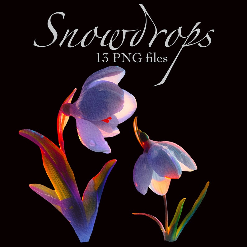 Birth Month Flower PNG Birth Flower Print Tattoo Birth Flower Clipart ...