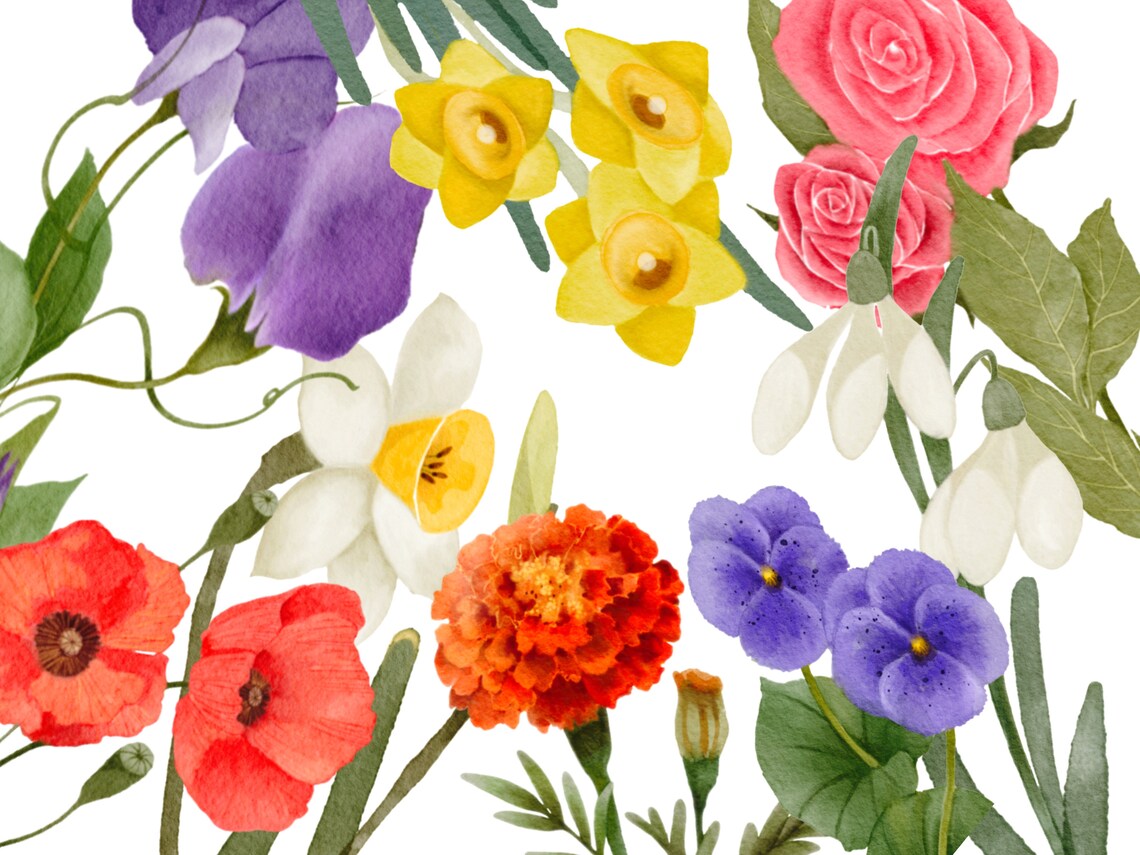 Birth Month Flower Chart Birth Flower Poster Floral Nursery Decor ...