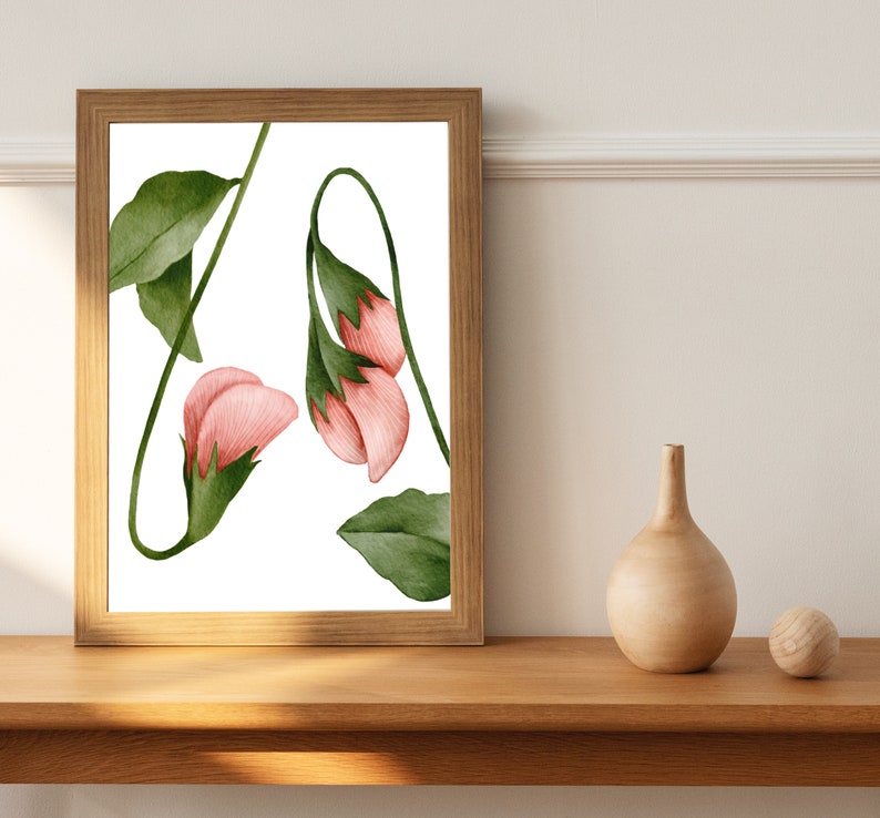 April Birth Month Flower PNG / Sweet Pea Clipart / Sweet Pea Print ...