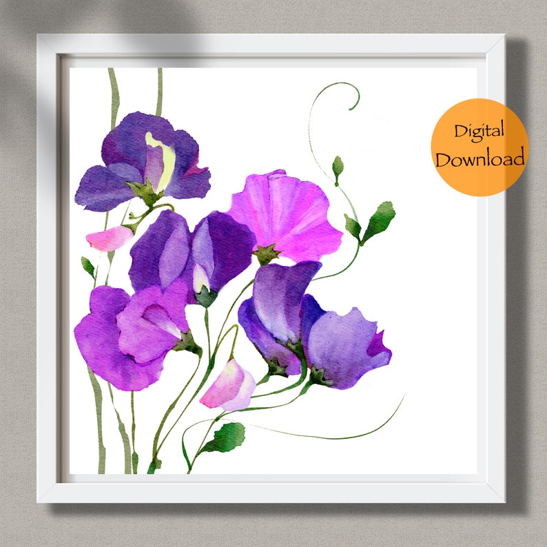 Sweet Pea April Birth Flower Prints | Floral Wall Art - Etsy