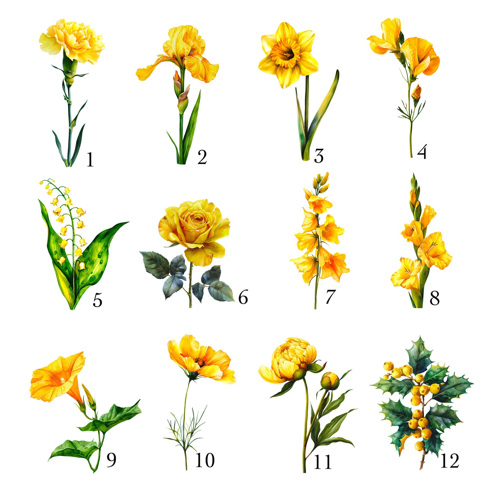 Birth Flower Sticker Clipart PNG | Yellow Watercolor Floral Bundle ...