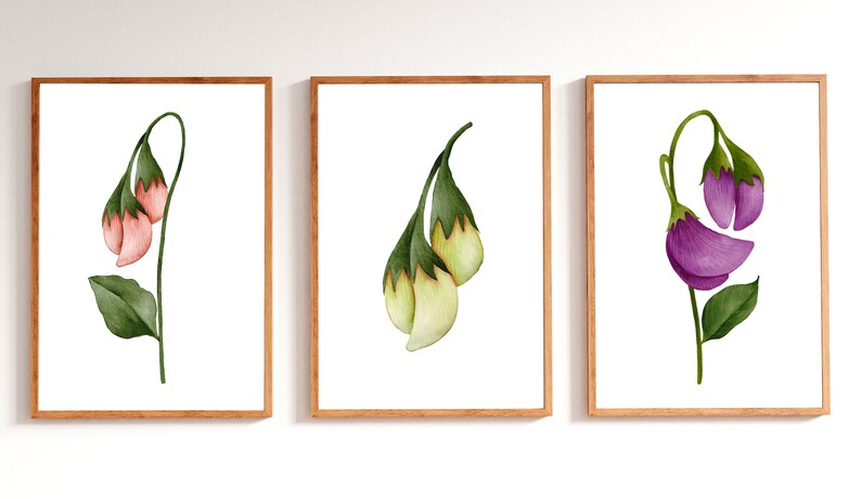 April Birth Month Flower PNG / Sweet Pea Clipart / Sweet Pea Print ...