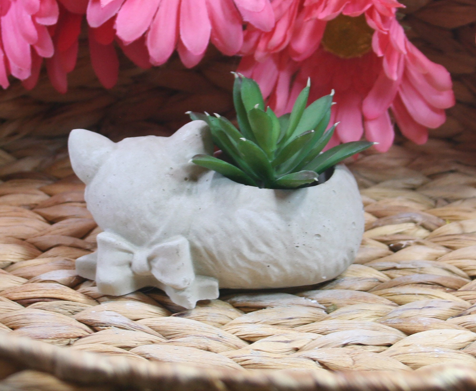 Cat Succulent Planter Concrete Pot Home Garden Porch - Etsy
