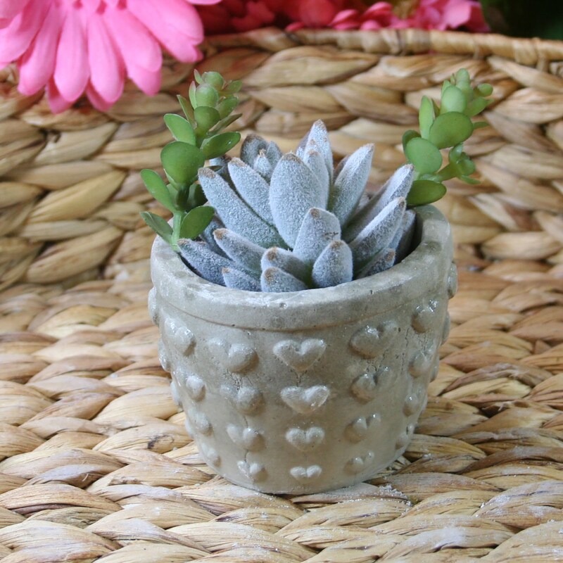 Heart Flower Pot - Etsy
