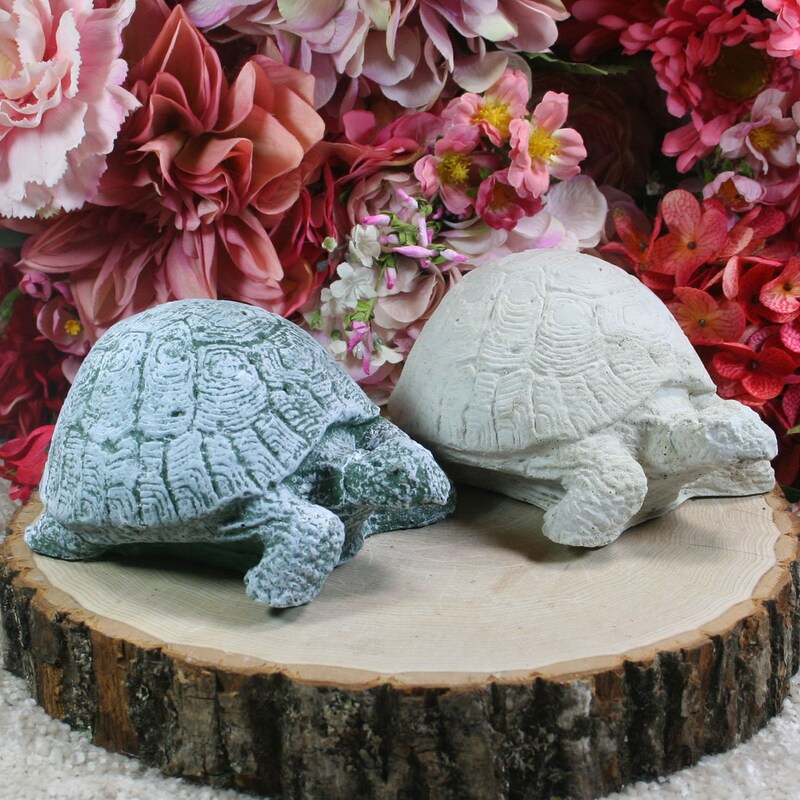 Painted Rock Turtle - Etsy