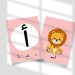 Arabic Alphabet Flashcards With Pictures, Arabic Letters, Arabic ...
