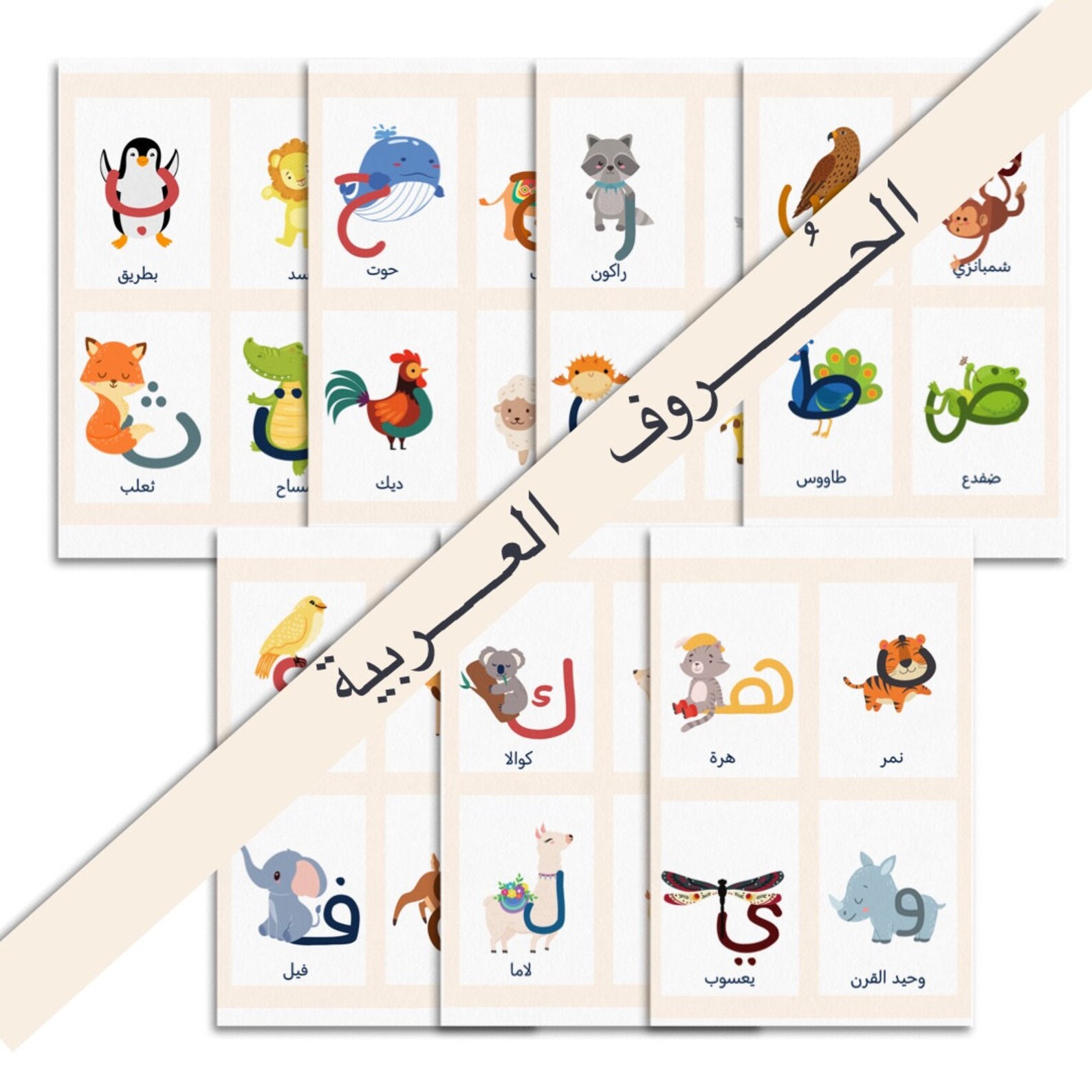 Animals Flashcards Arabic Letters Arabic Letters alphabet Flashcards - Etsy