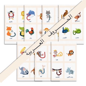 Animals Flashcards Arabic Letters Arabic Letters alphabet Flashcards - Etsy