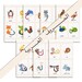 Animals Flashcards Arabic Letters Arabic Letters alphabet Flashcards - Etsy