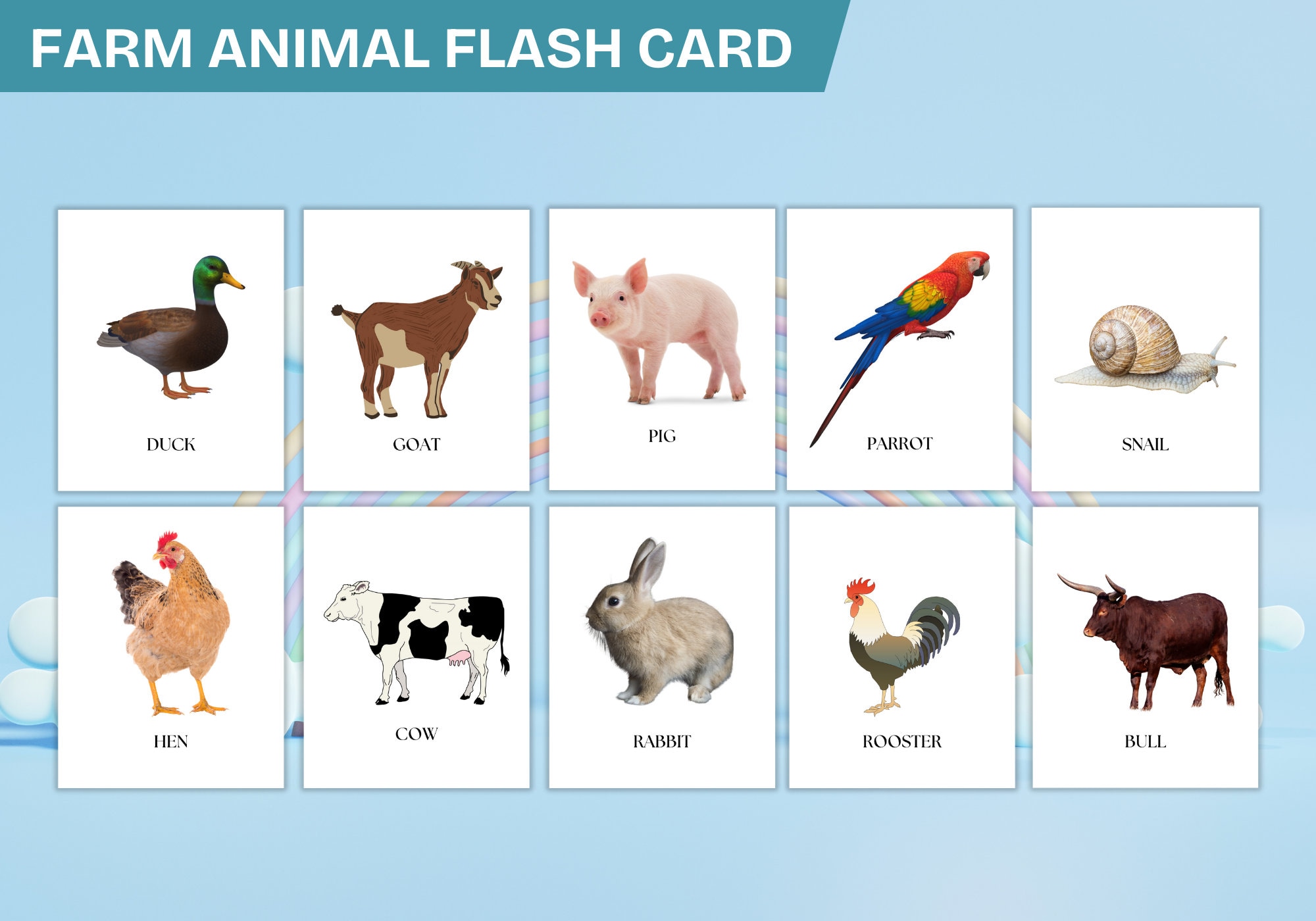 Farm Animal 10 Editable FLASHCARDS - Etsy