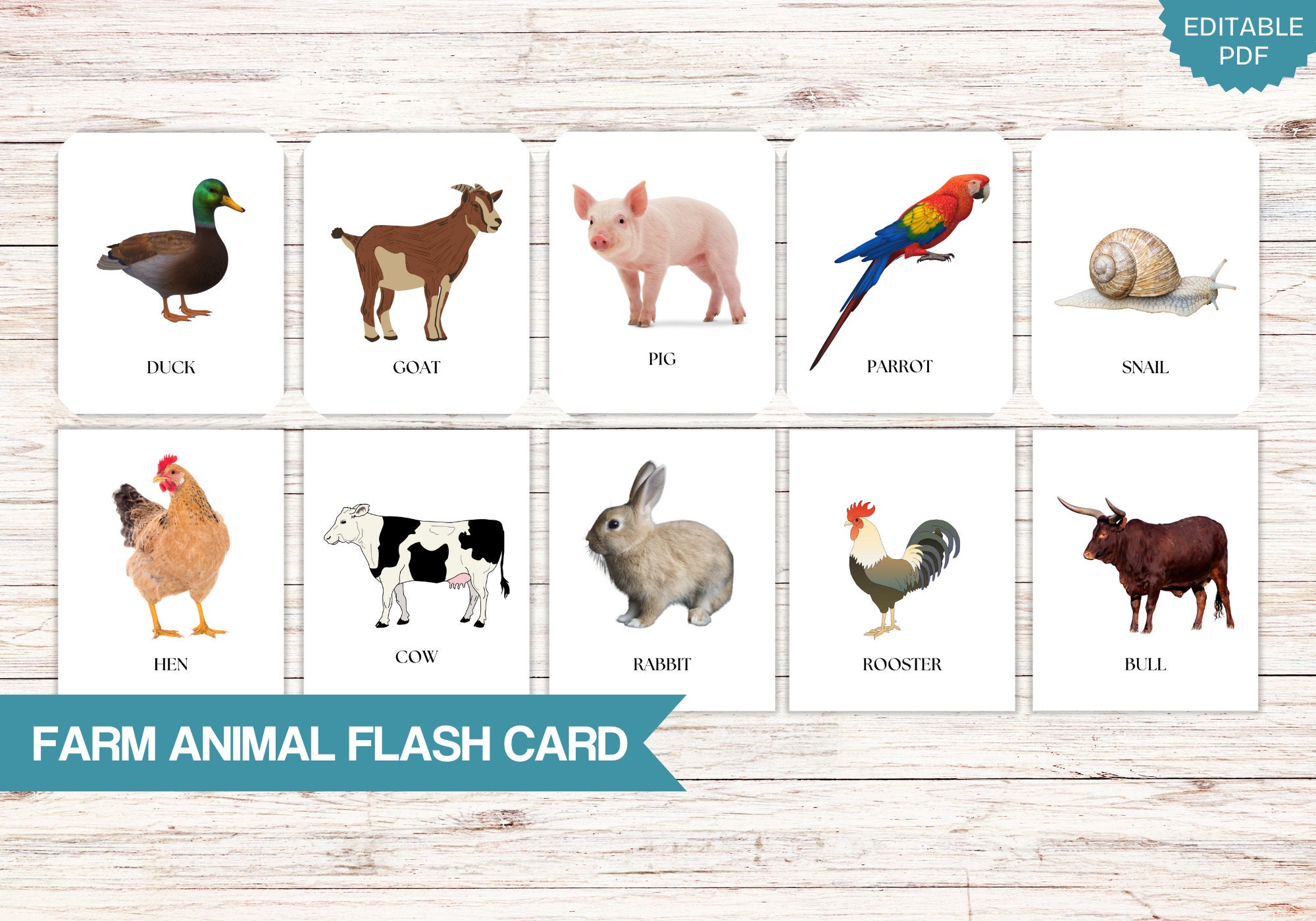 Farm Animal 10 Editable FLASHCARDS - Etsy