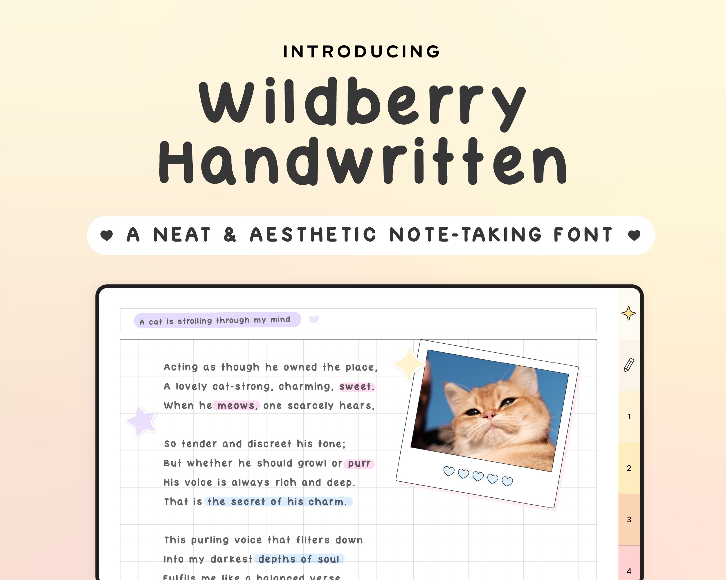 Neat Handwritten Notes