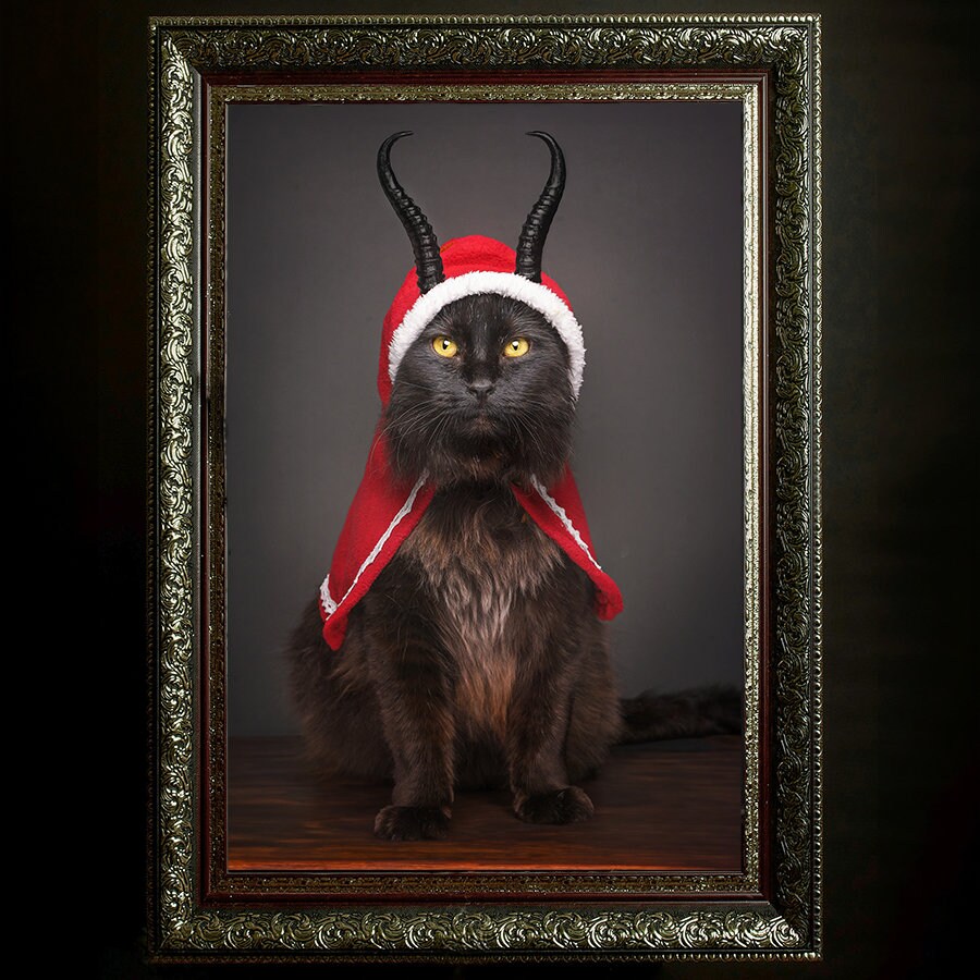 Krampus Cat Portrait Gothic Cat Photo Cat Poster Gothic - Etsy