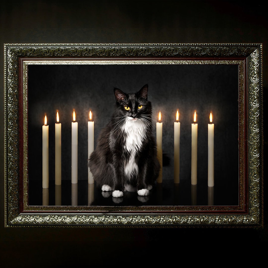 Gothic Black Cat Portrait Gothic Cat Photo Cat Poster Gothic Home Decor ...