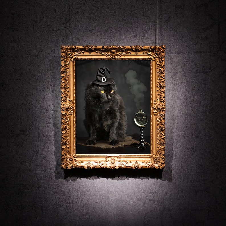 Witch Black Cat Portrait • Gothic Cat Photo• Cat Poster • Gothic Home ...