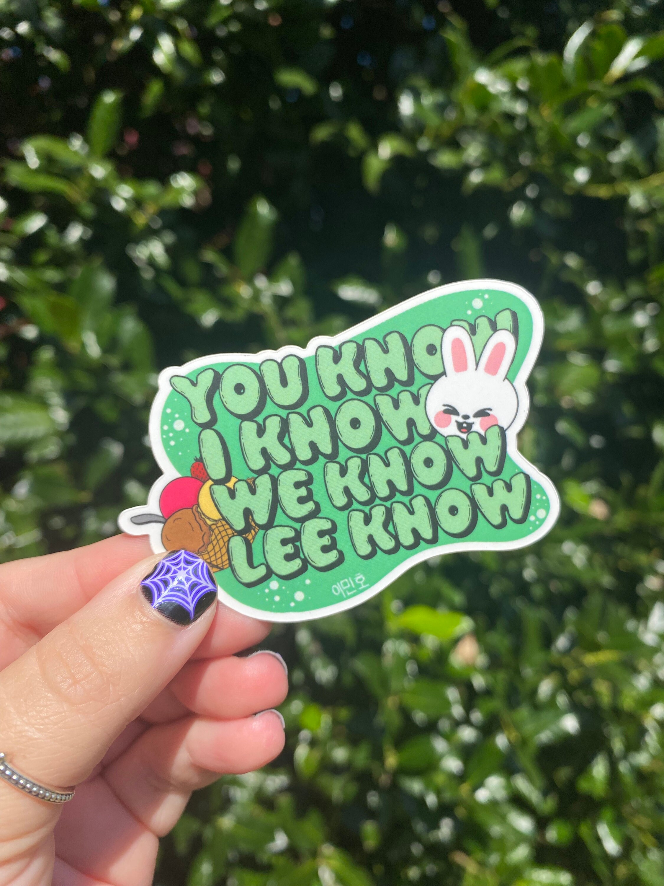 Stary Kids SKZOO Stickers || MATTE Vinyl || Waterproof, Weatherproof ...