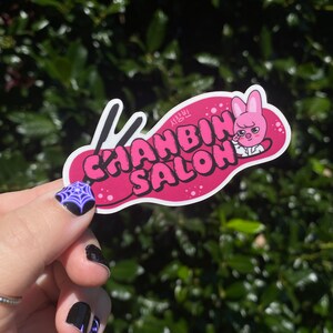 Stary Kids SKZOO Stickers || MATTE Vinyl || Waterproof, Weatherproof ...