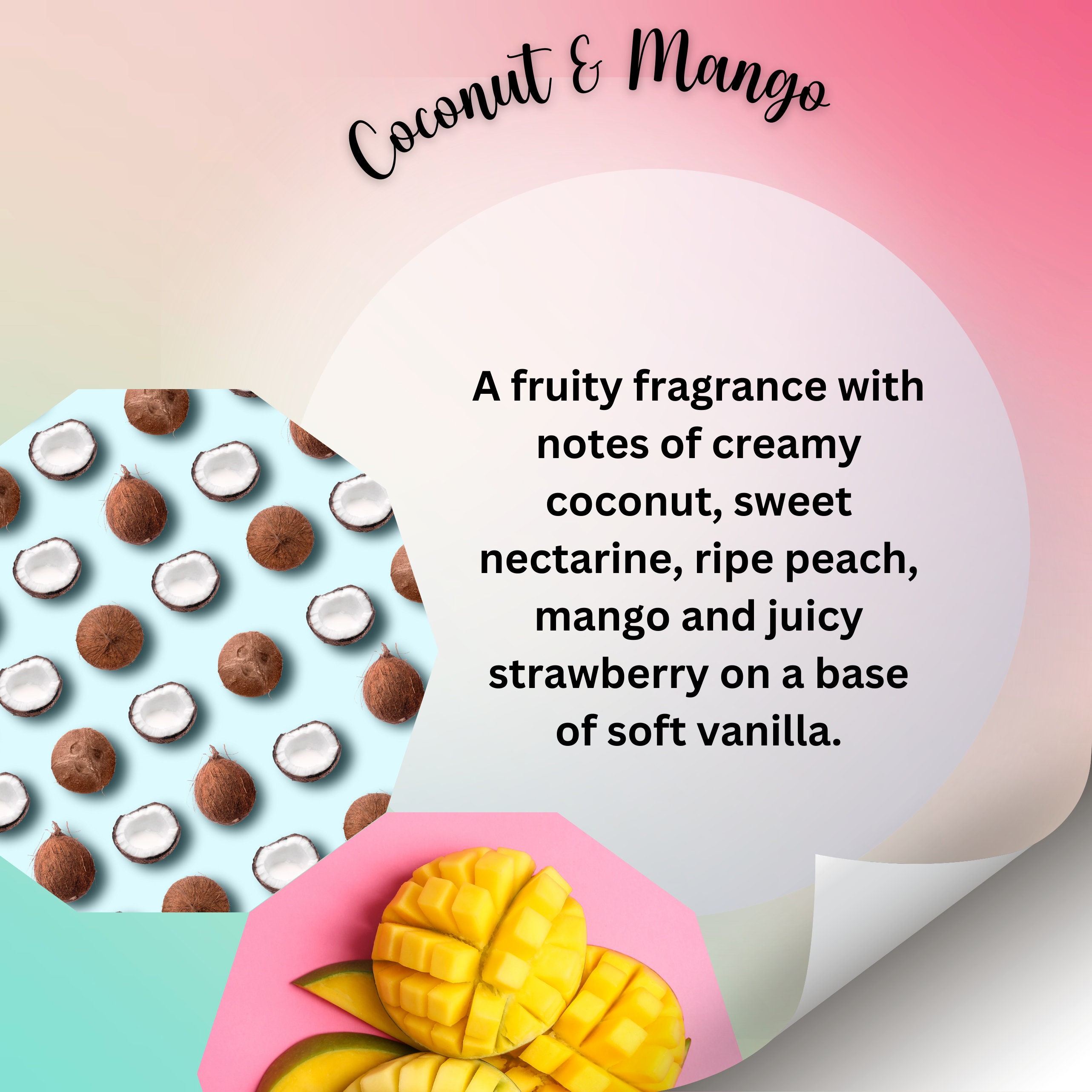 Coconut & Mango Wax Melt Snap Bar-clamshell-creamy - Etsy UK